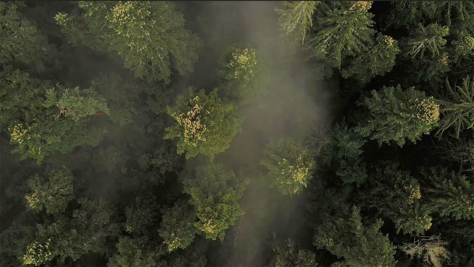 The Gateway to Canada's largest technology park. – Hub350